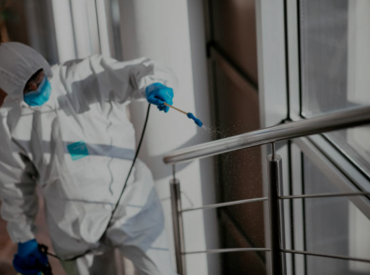 Desinfeccion en Malloco – Sanitizacion y Desinfección por Rebalse